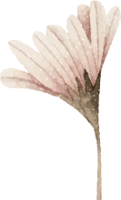 Understanding Sillage: What It Is and How to Maximize It | Sunnah ...